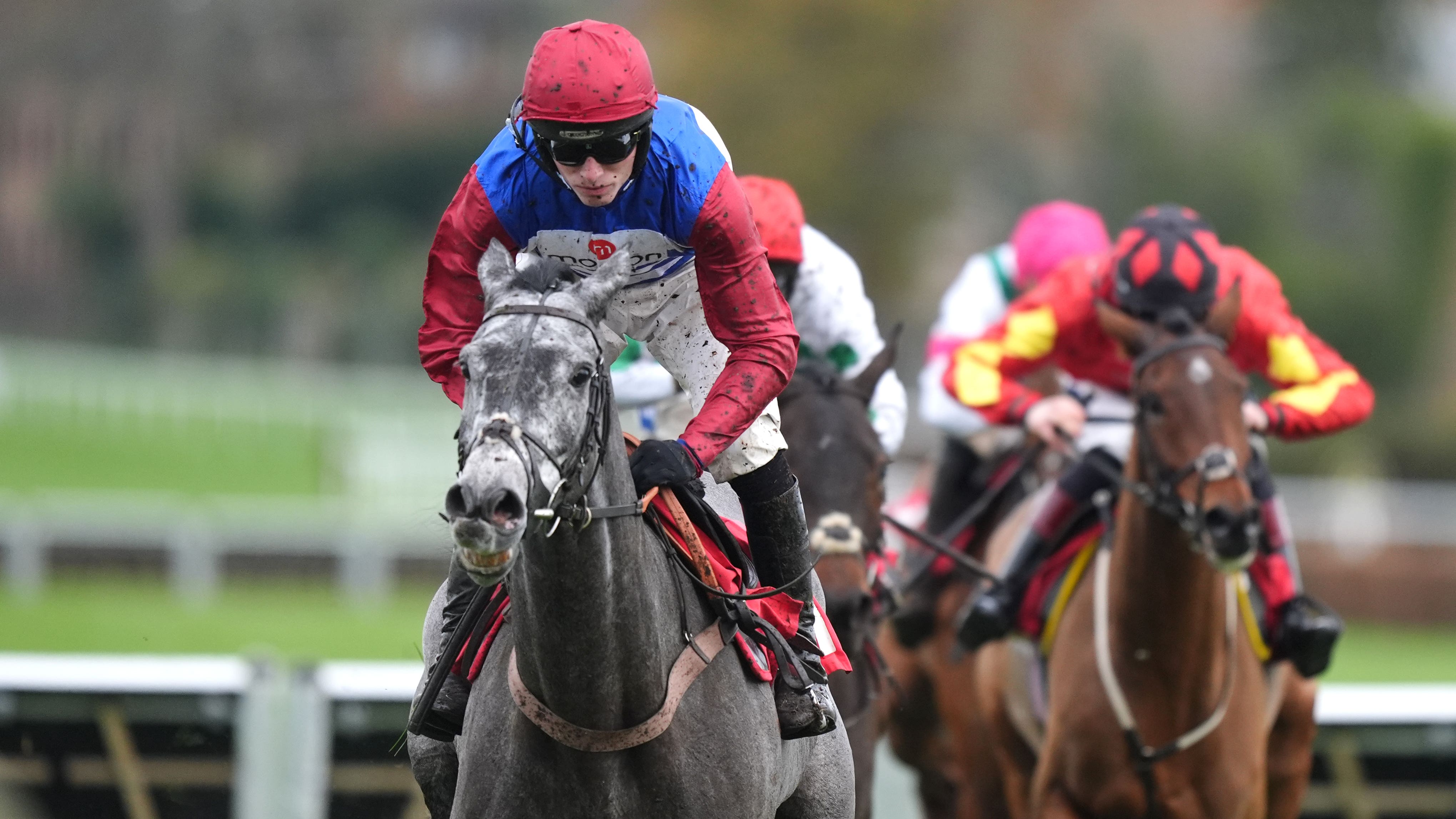No drama as Nicholls’ runner eases to winter win