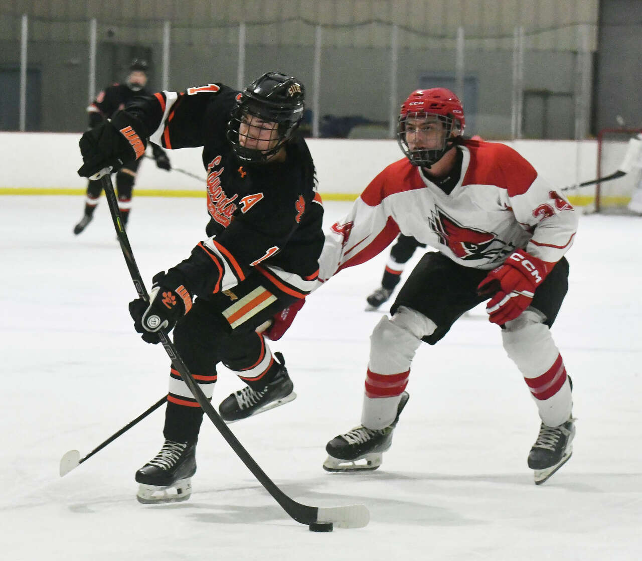 Edwardsville ice hockey falls to Belleville