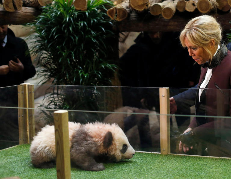 French first lady Brigitte Macron visits an old friend in China: A ...