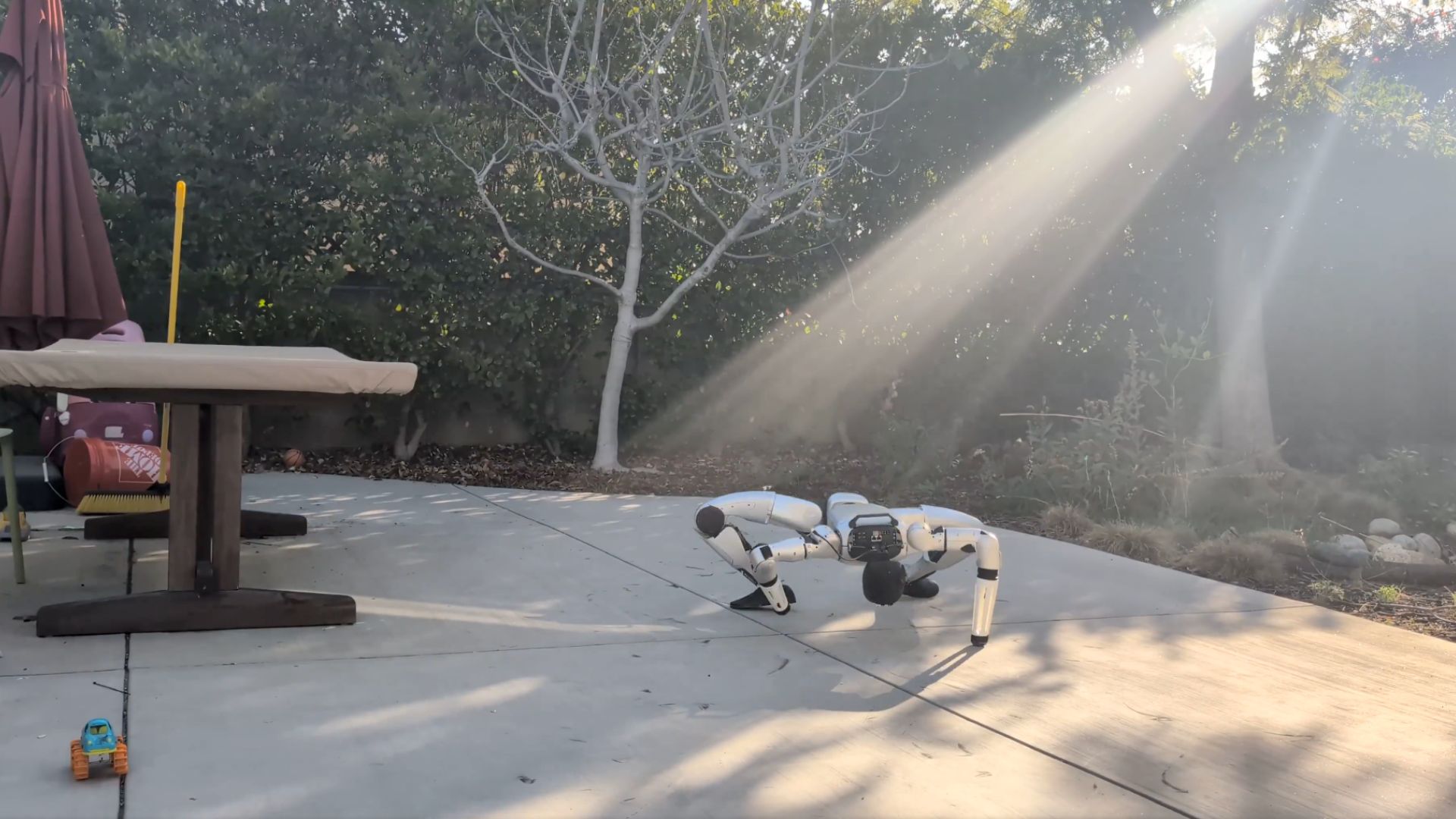 Video: Crawling humanoid robot shocks the internet with its animal-like ...