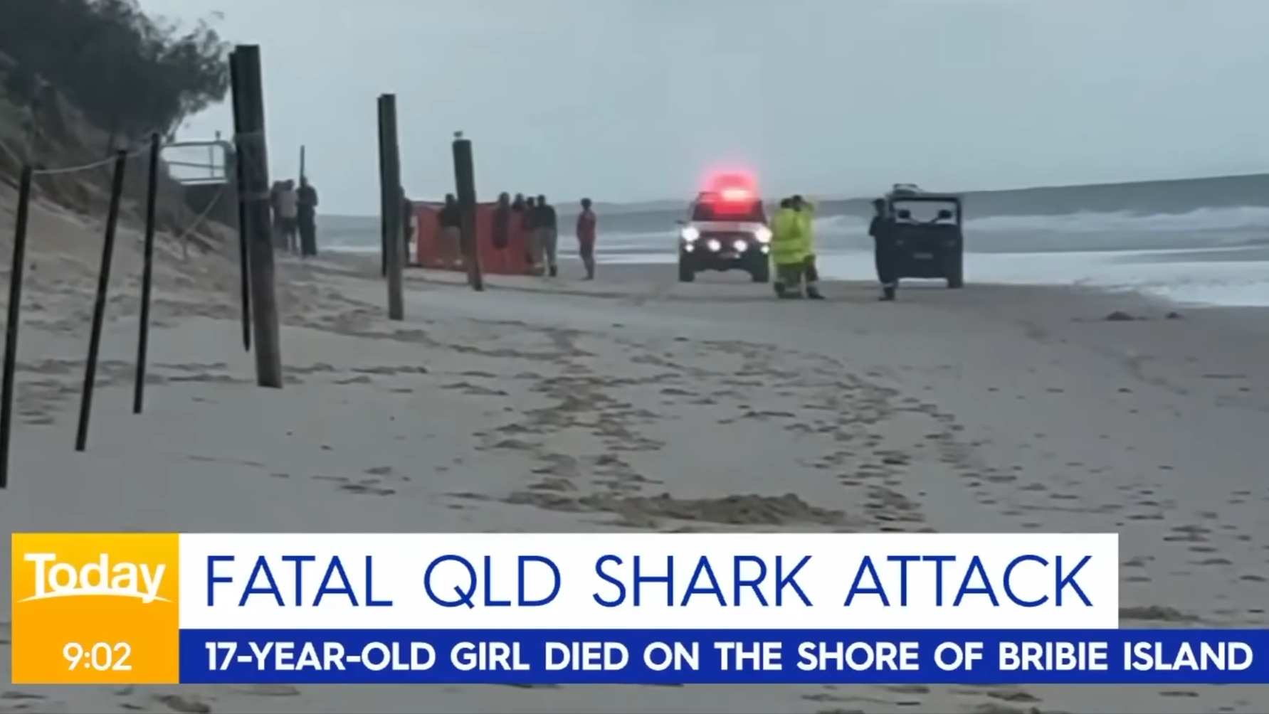 How this Australian beach turned into a shark tragedy