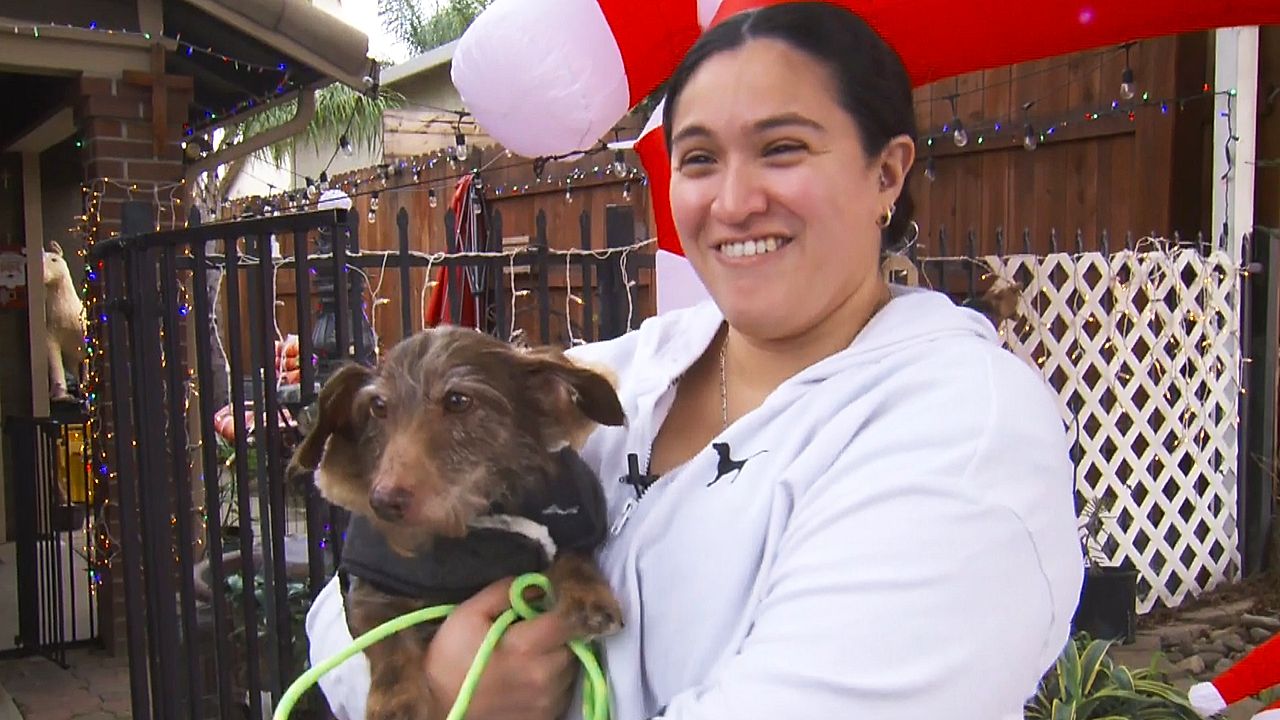 Un perro perdido de California aparece después de cinco años a 3.862 ...
