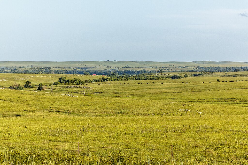12 Kansas prairie drives with better wildlife viewing than national parks