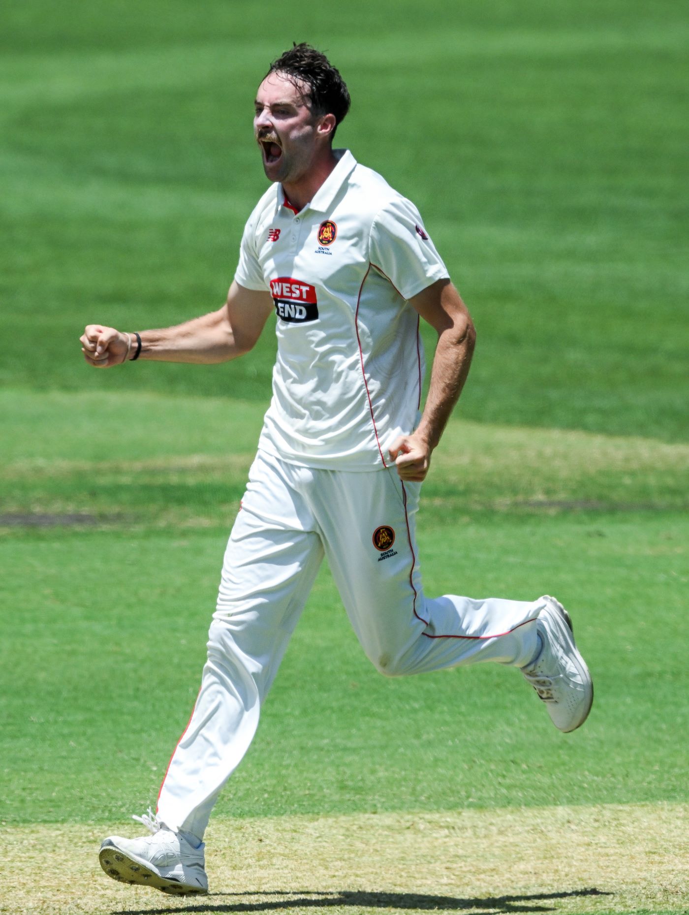 Buckingham claims four to put South Australia on top