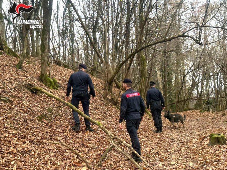 Carabinieri a cavallo contro lo spaccio, passati al setaccio i boschi ...