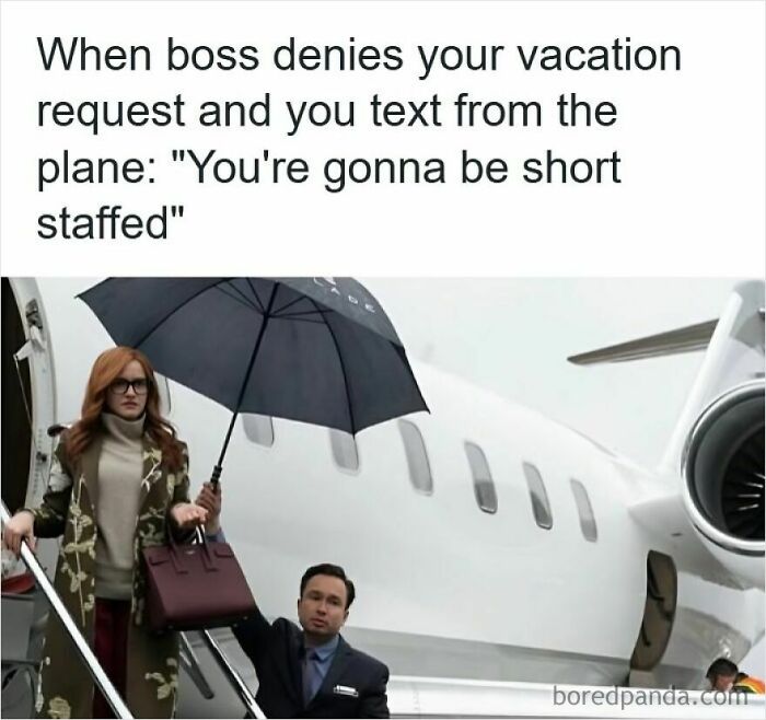 So why did you get fired?: 49 memes to brighten your day if you just ...