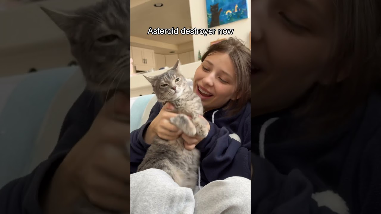 Our tiny kitten became the fearless leader