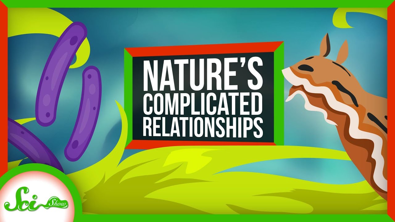 Symbioses are way more complex than you think!
