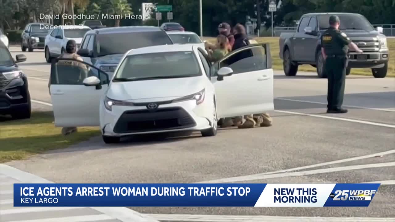 Video shows arrest of US citizen by immigration officials in Florida Keys