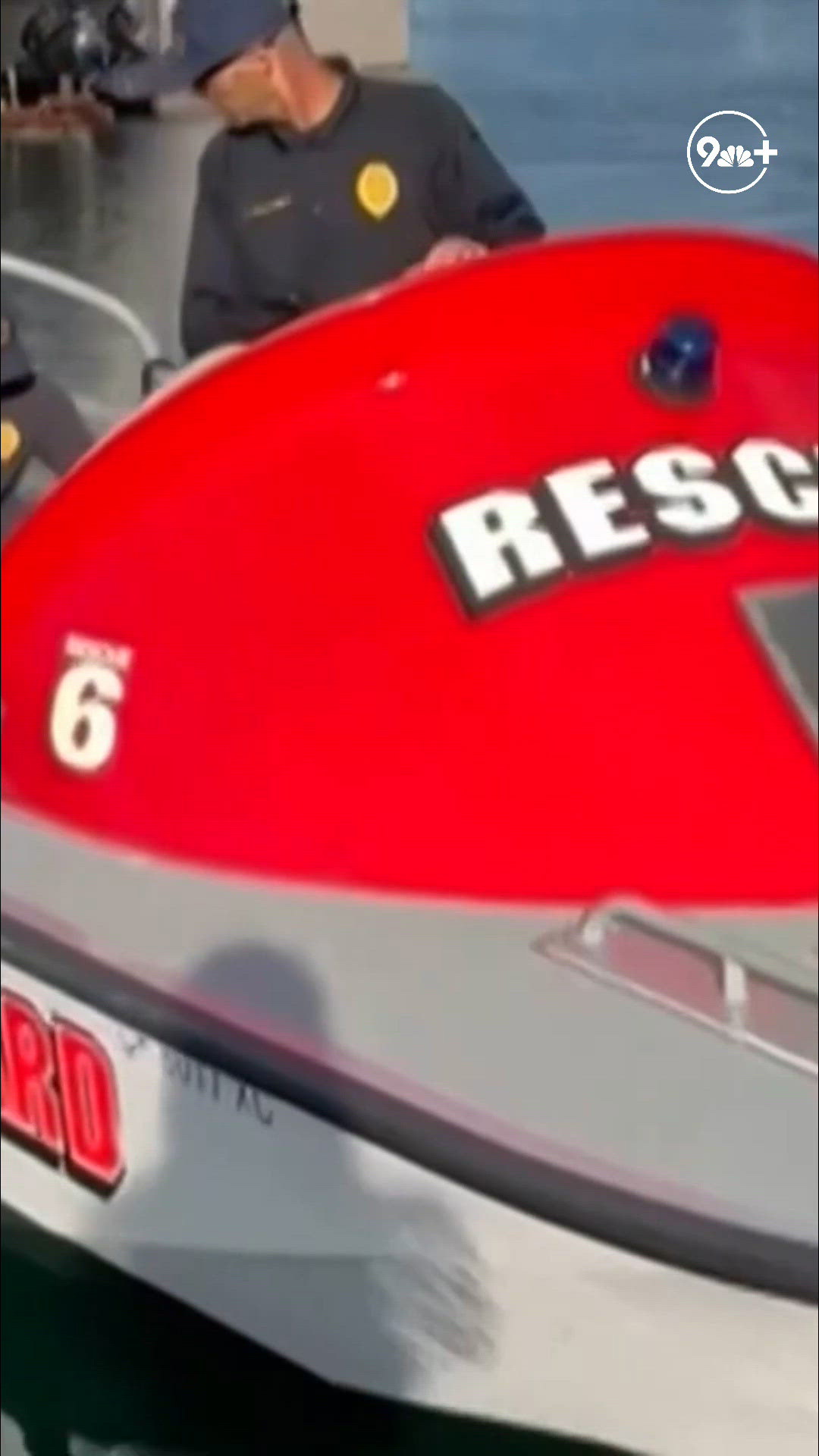 Lifeguards rescue dog swept out to sea by rip current off California coast