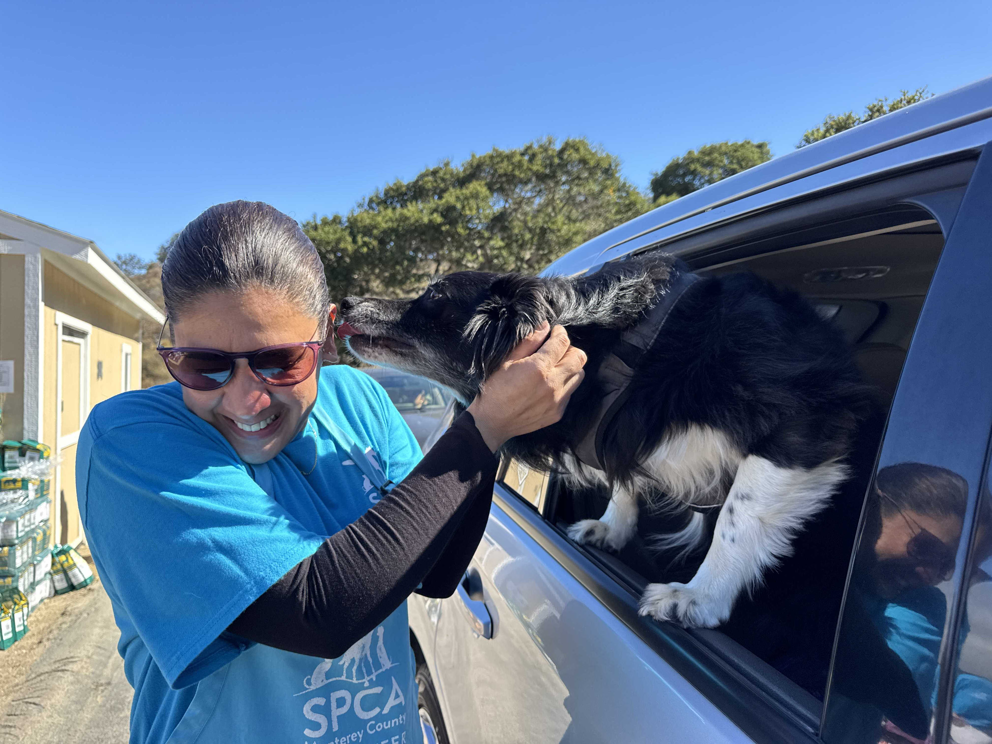 SPCA Monterey County struggles with low pet food supplies amid rising ...