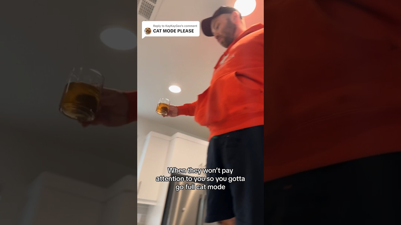 Witness pure chaos as humans fully commit to cat-like behavior