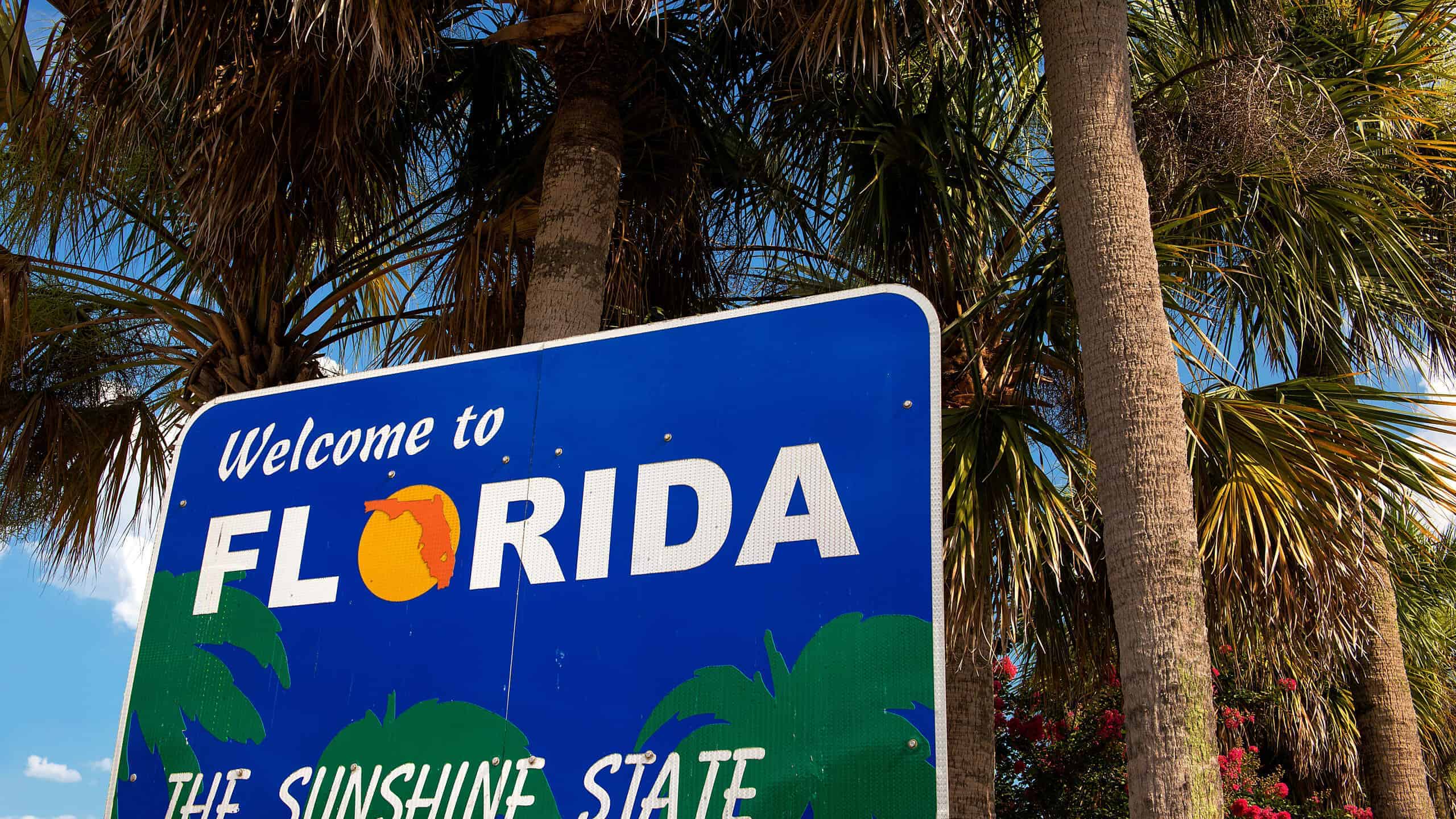 The weird and wonderful things you can see in Florida