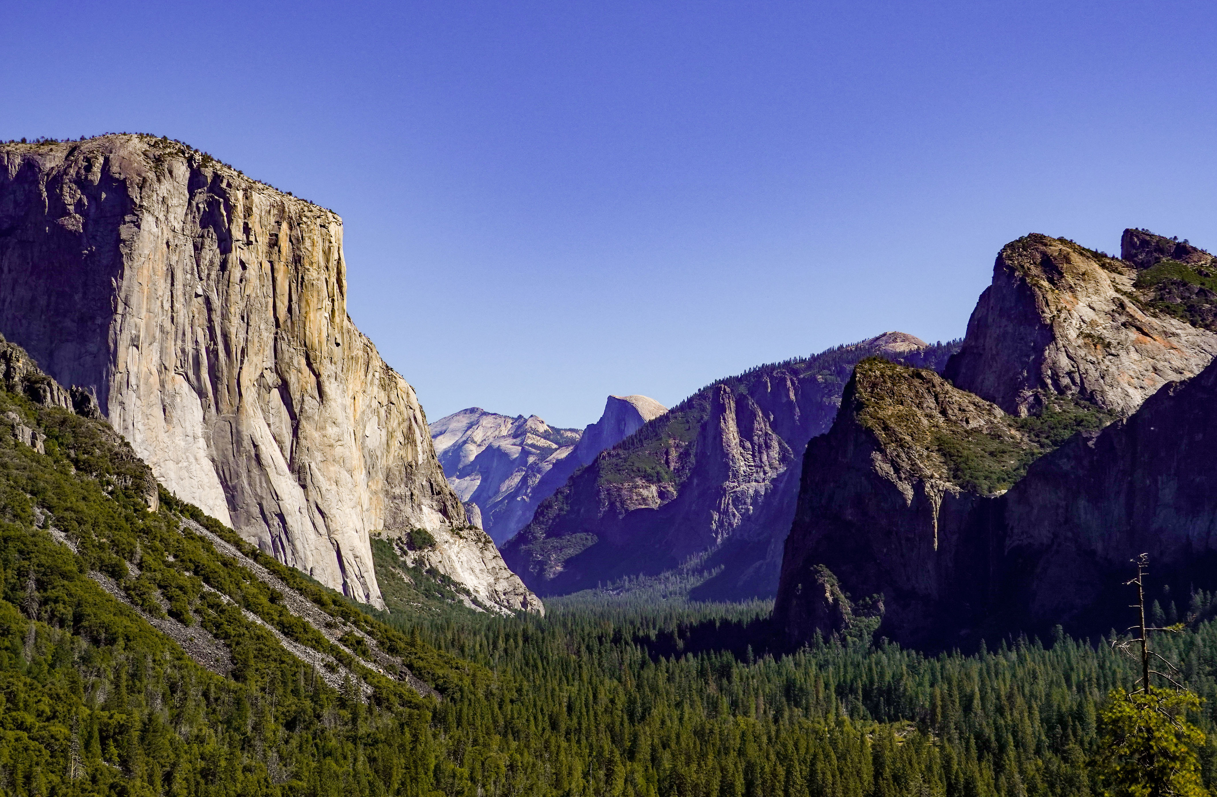 Trump admin removes MLK Day, Juneteenth from National Parks fee-free days