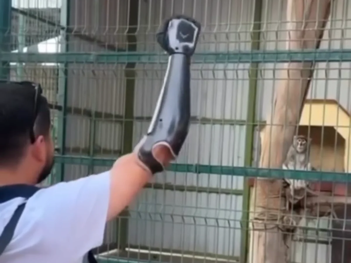 Macaco reage com surpresa ao ver jovem tirar prótese de braço
