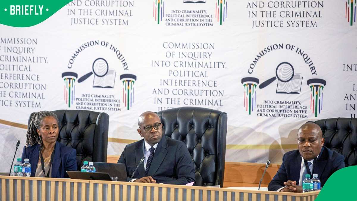 Madlanga Commission witness who testified against EMPD Deputy Chief ...