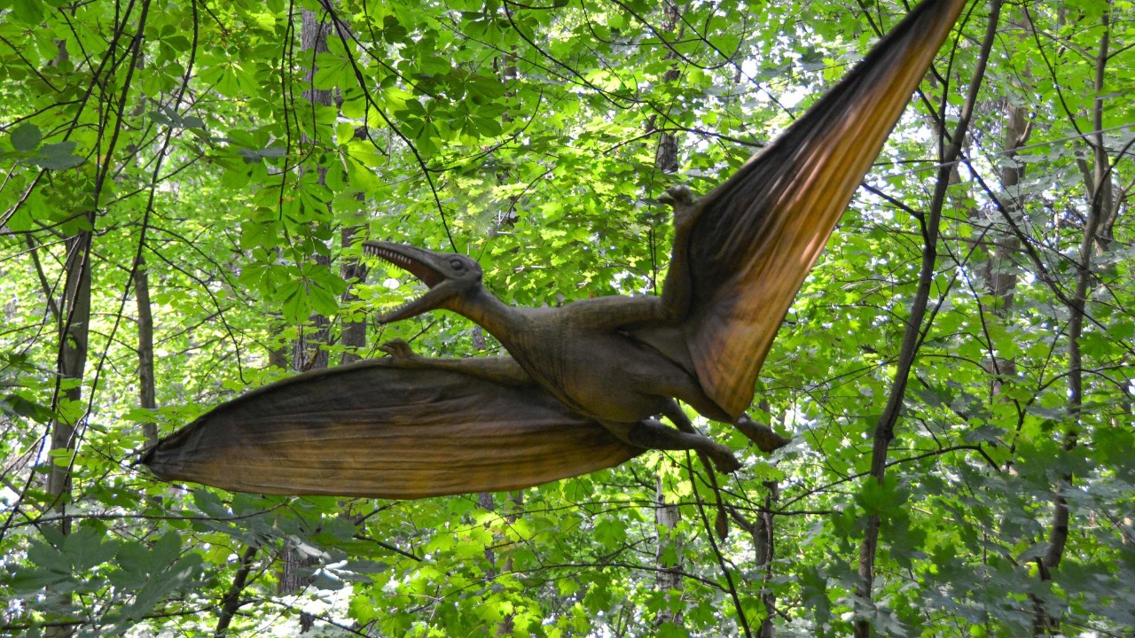 Pterosaurs flew with surprisingly small brains, study finds