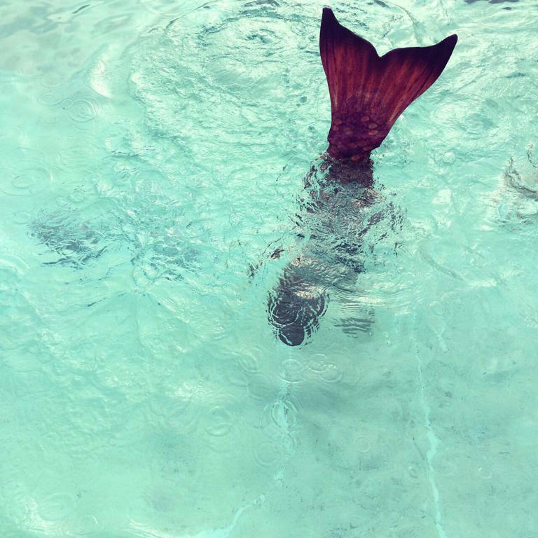 'Mermaids at Mystic' returns to the Mystic Aquarium next month