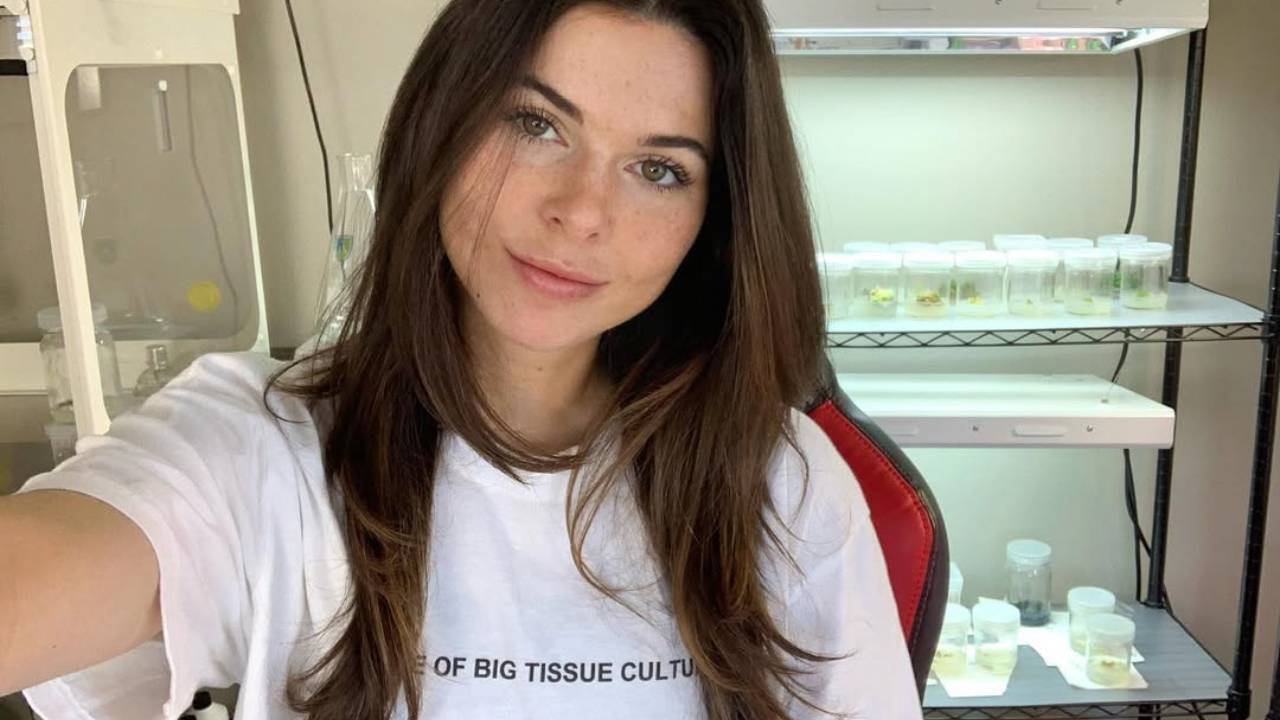 Plant YouTuber crashes the market prices on accident