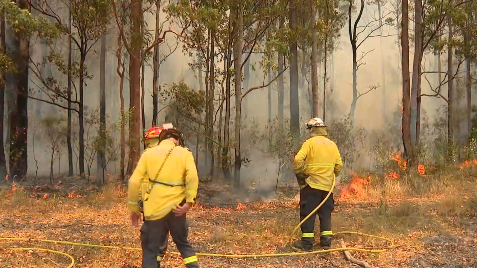 At least one home damaged as fire rips through NSW Central Coast