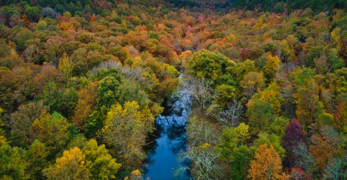 Arkansas adventure: Waterfalls, bluffs, and trails tucked away in the ...