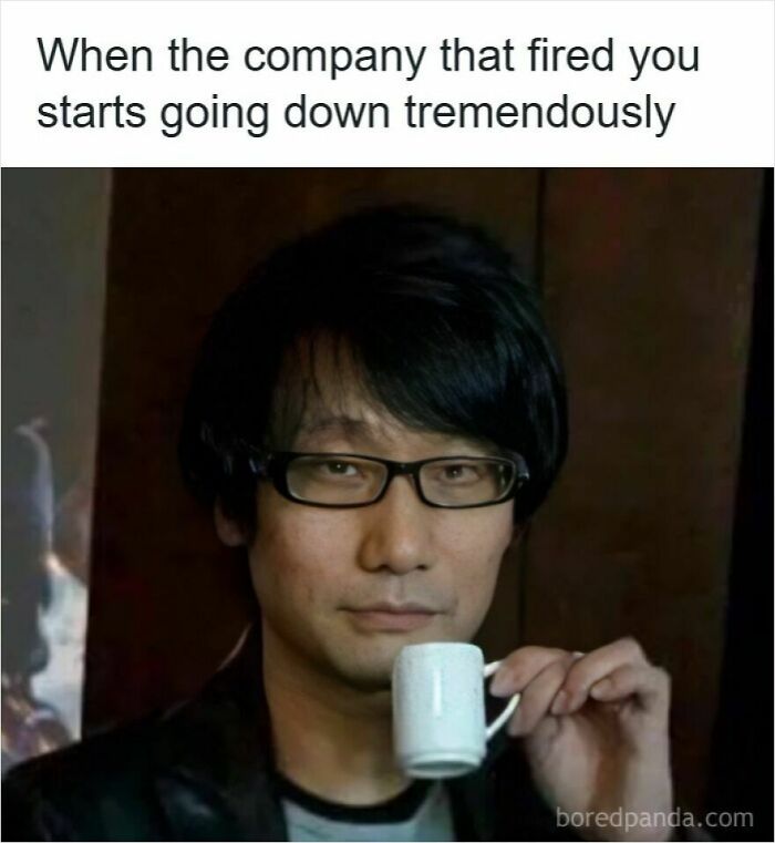So why did you get fired?: 49 memes to brighten your day if you just ...