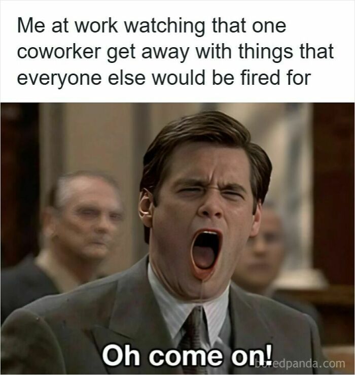 So why did you get fired?: 49 memes to brighten your day if you just ...