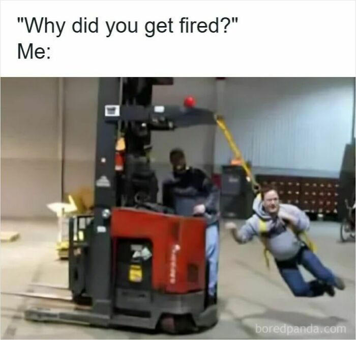 So why did you get fired?: 49 memes to brighten your day if you just ...