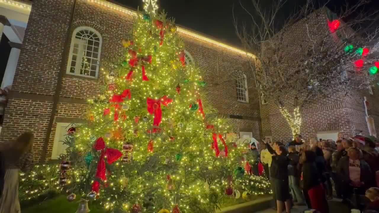 Watch: The city of Conway held its annual tree lighting