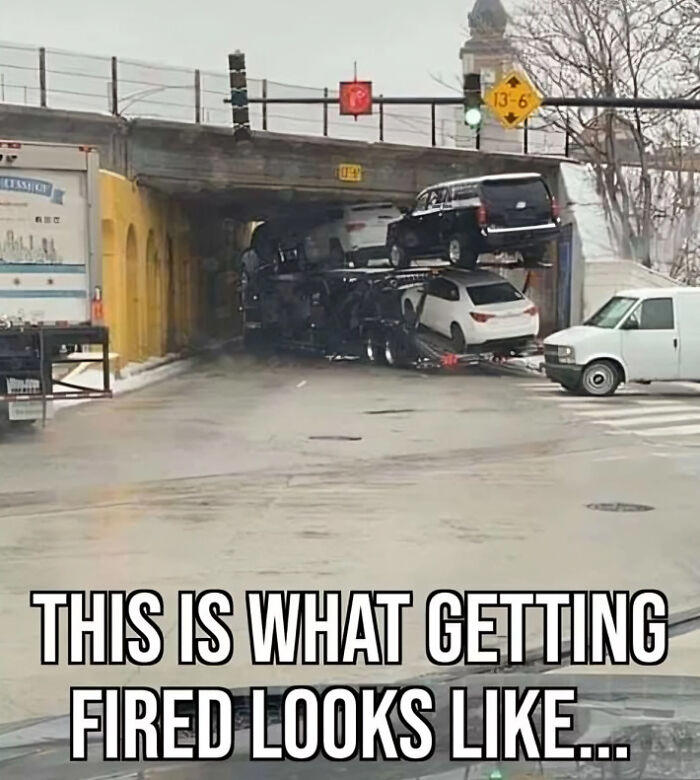 So why did you get fired?: 49 memes to brighten your day if you just ...