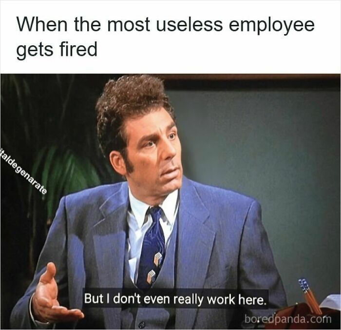 So why did you get fired?: 49 memes to brighten your day if you just ...
