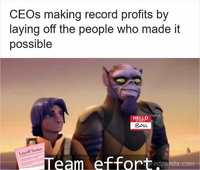 So why did you get fired?: 49 memes to brighten your day if you just ...