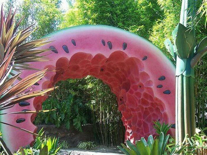 60 photos so weird and wonderful they belong in another universe