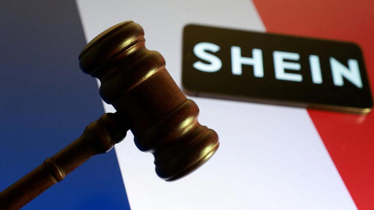 France drops demand for full suspension of Shein site over childlike ...
