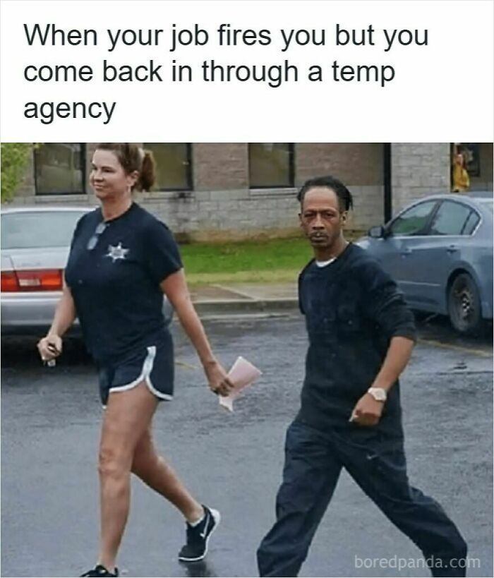 So why did you get fired?: 49 memes to brighten your day if you just ...
