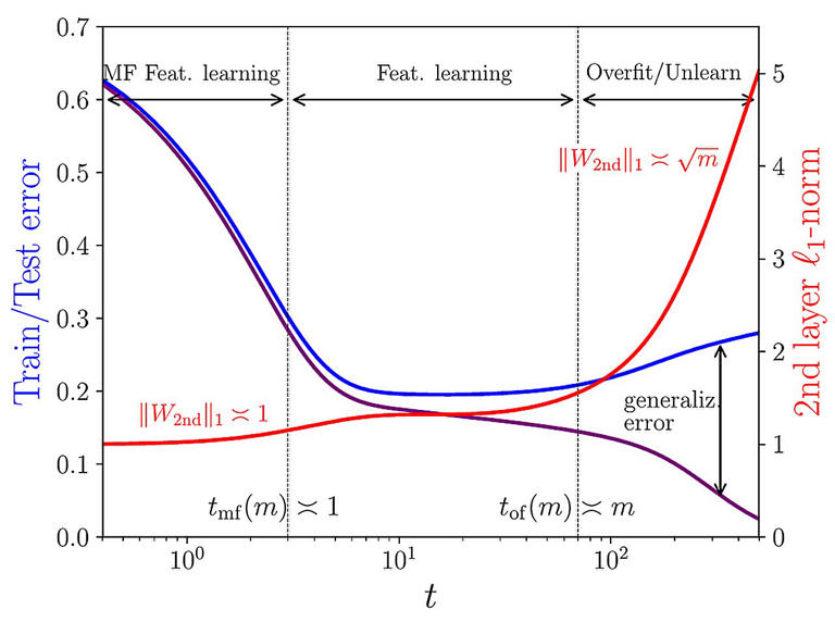Overparameterized neural networks: Feature learning precedes overfitting, research finds