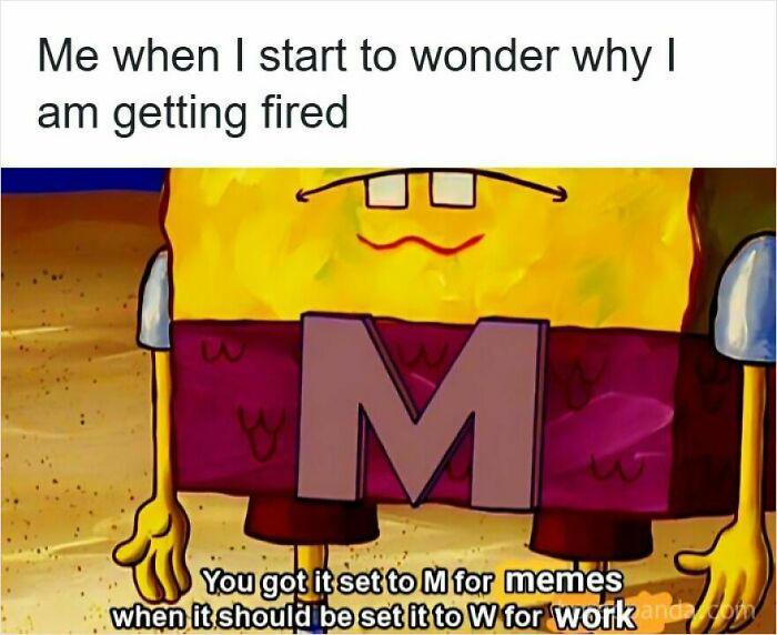 So why did you get fired?: 49 memes to brighten your day if you just ...