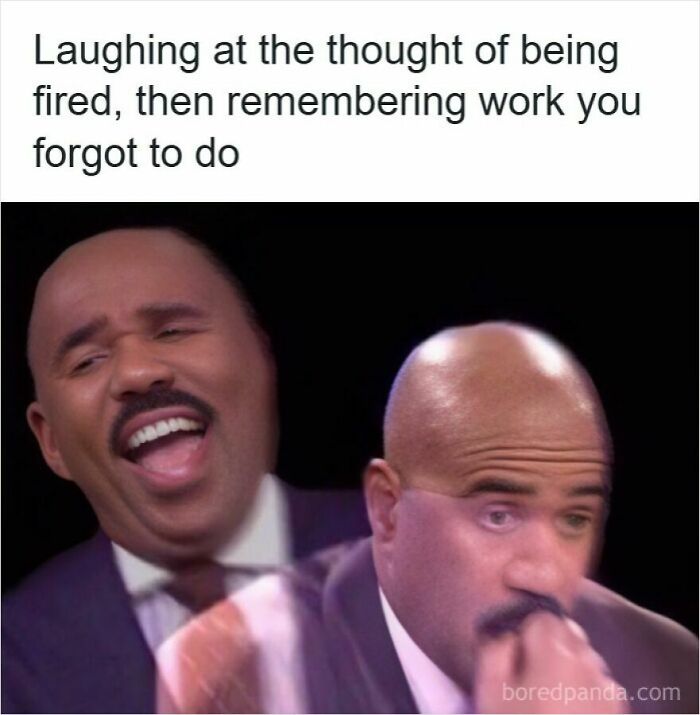 So why did you get fired?: 49 memes to brighten your day if you just ...