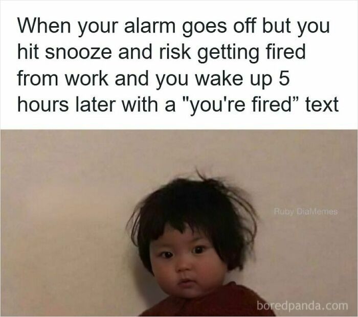 So why did you get fired?: 49 memes to brighten your day if you just ...