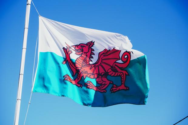 'Welsh language promoters are living in a self-obsessed, racist world'