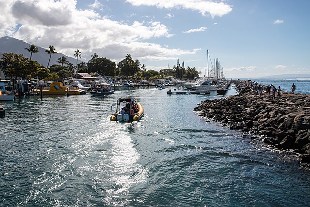 Lahaina Harbor to reopen, but Banyan Tree still closed