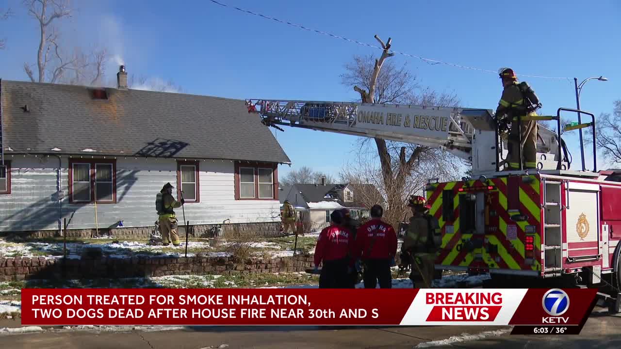 Omaha house fire kills 2 dogs, sends one person to the hospital