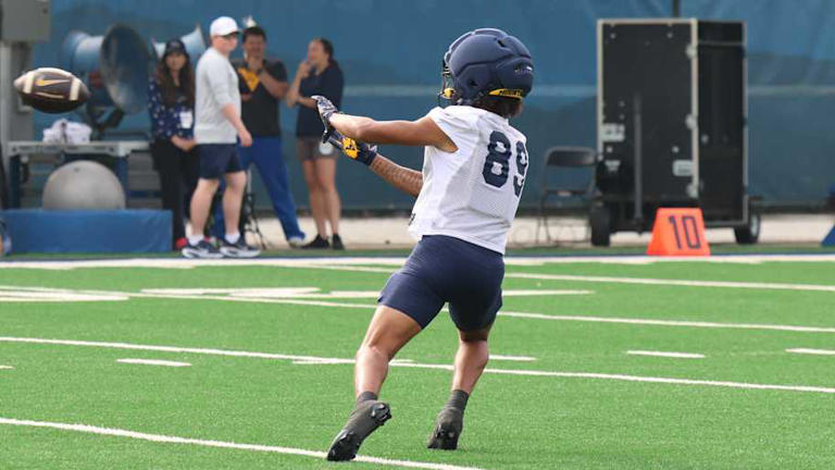 West Virginia receiver Tyshawn Dues plans to enter the transfer portal