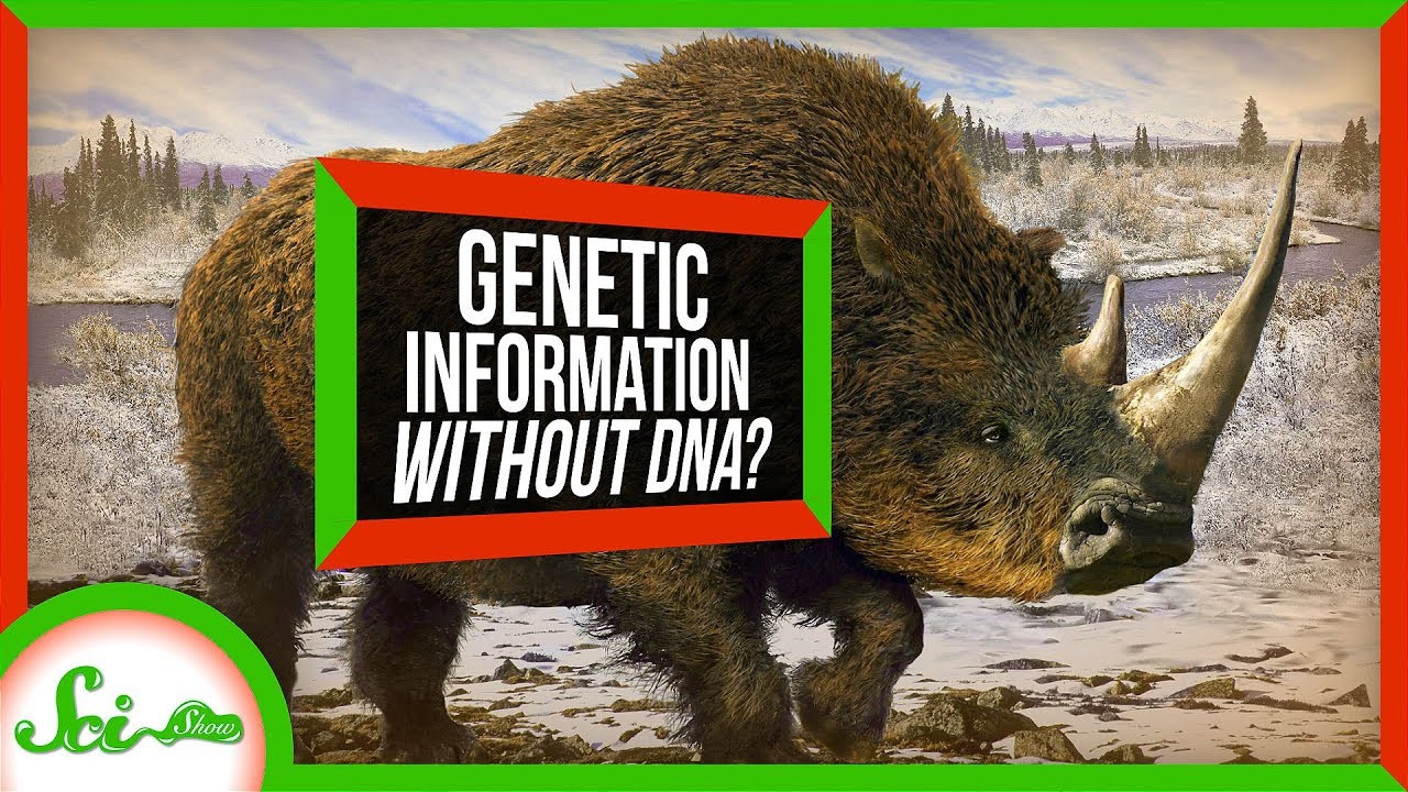 This ancient tooth could shake up how we study evolution | SciShow News