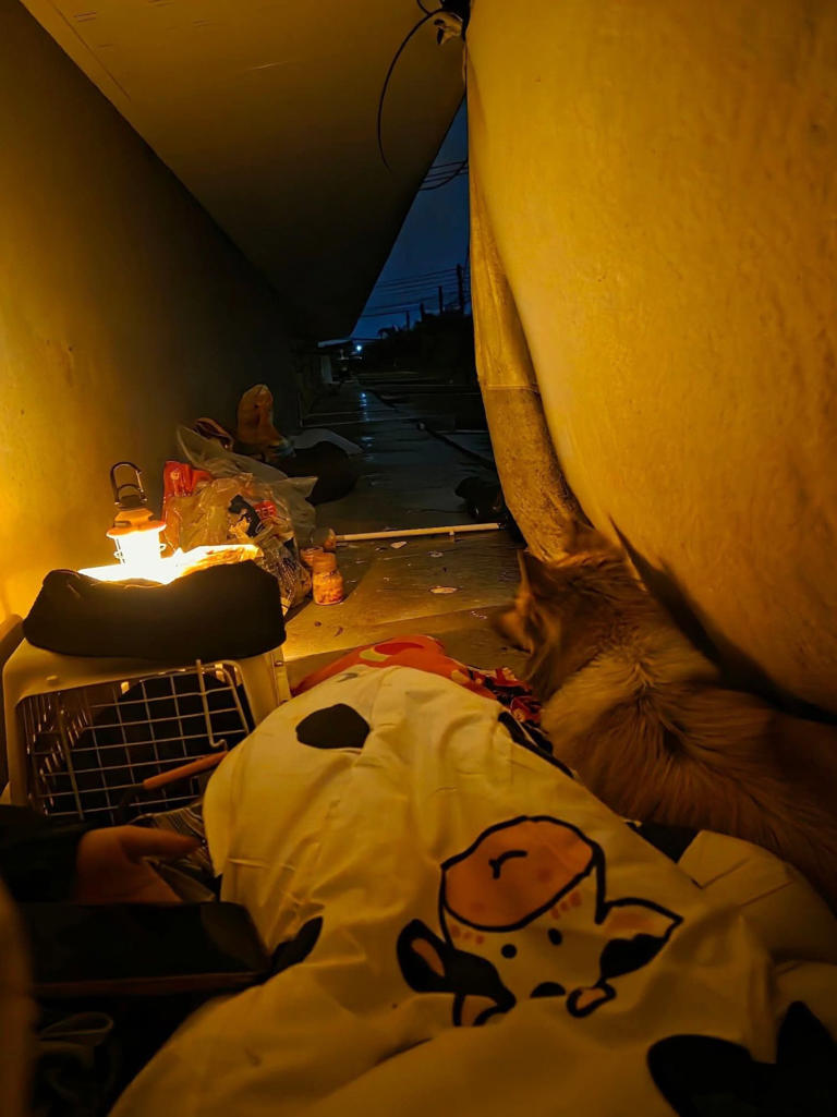 Thai woman stays on rooftop with pets for days during floods, refusing ...