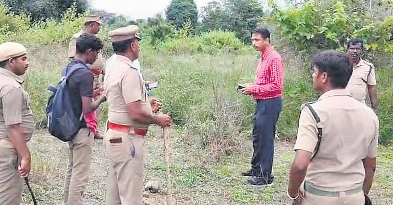 Postmortem done on three jumbos in Vellore