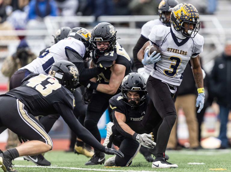 PIAA football championships: Southern Columbia stops Farrell for 2A ...