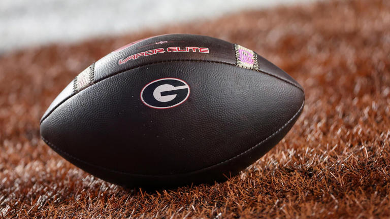 Georgia seeks $390,000 in NIL damages from edge rusher Damon Wilson II ...