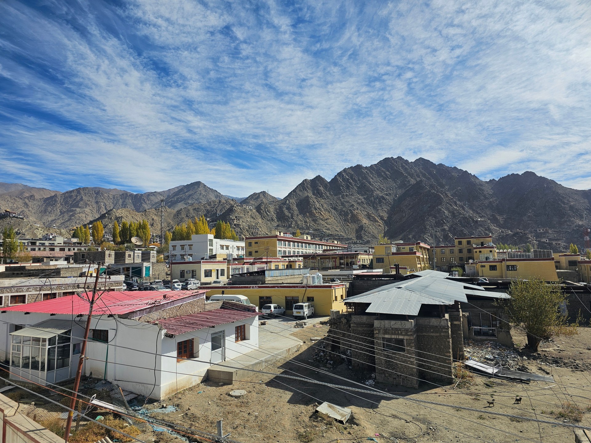 The truth behind Ladakh's 'Aryan villages' myth