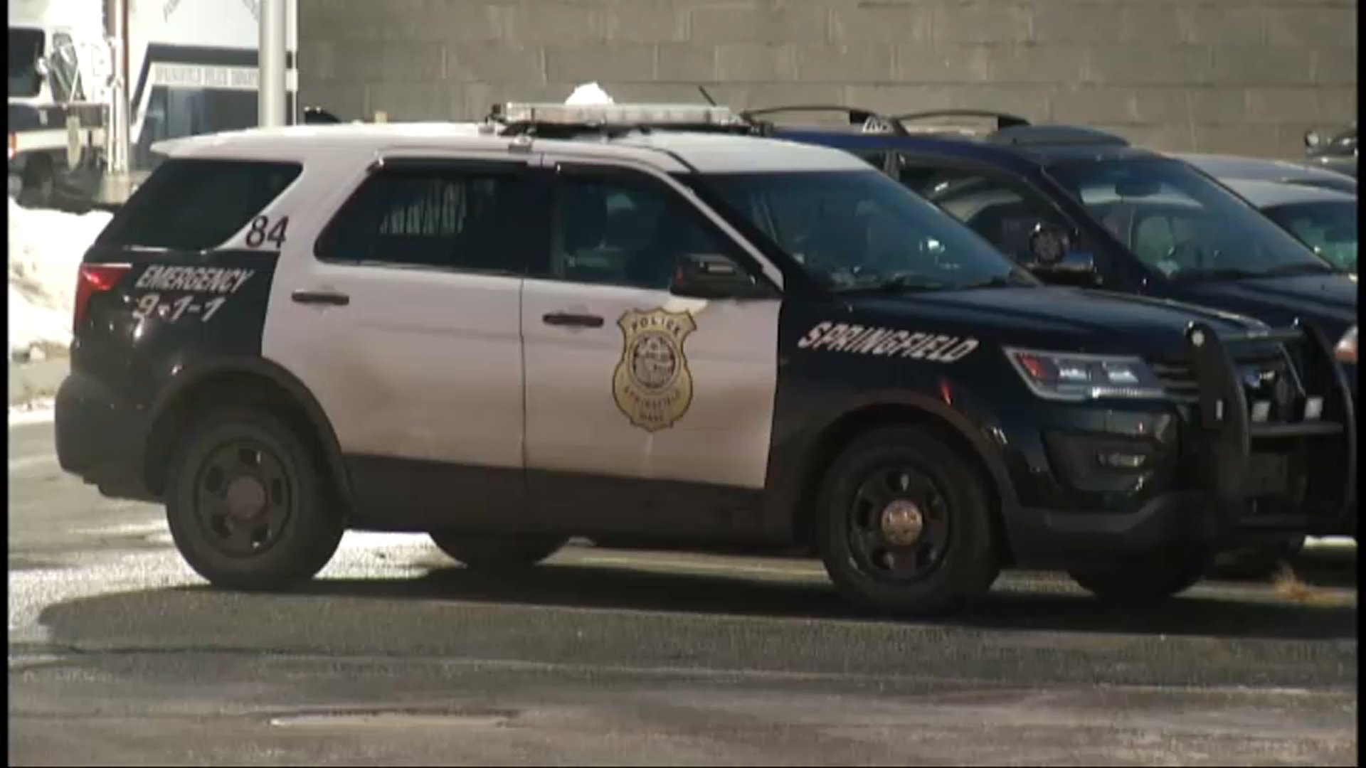 Pedestrian killed in Springfield hit-and-run